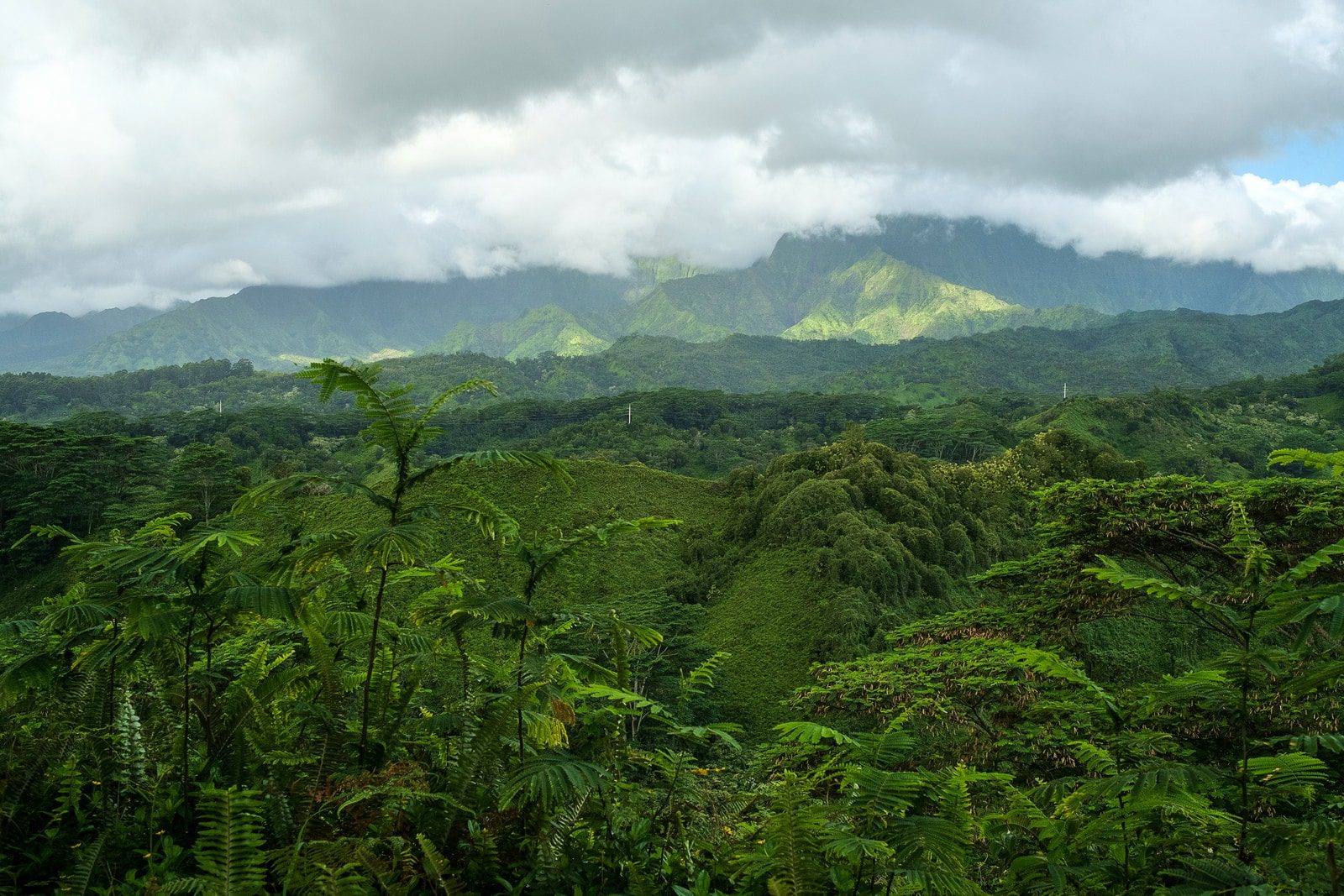 Kaua’i, the Garden of Eden | Nicholas Waton